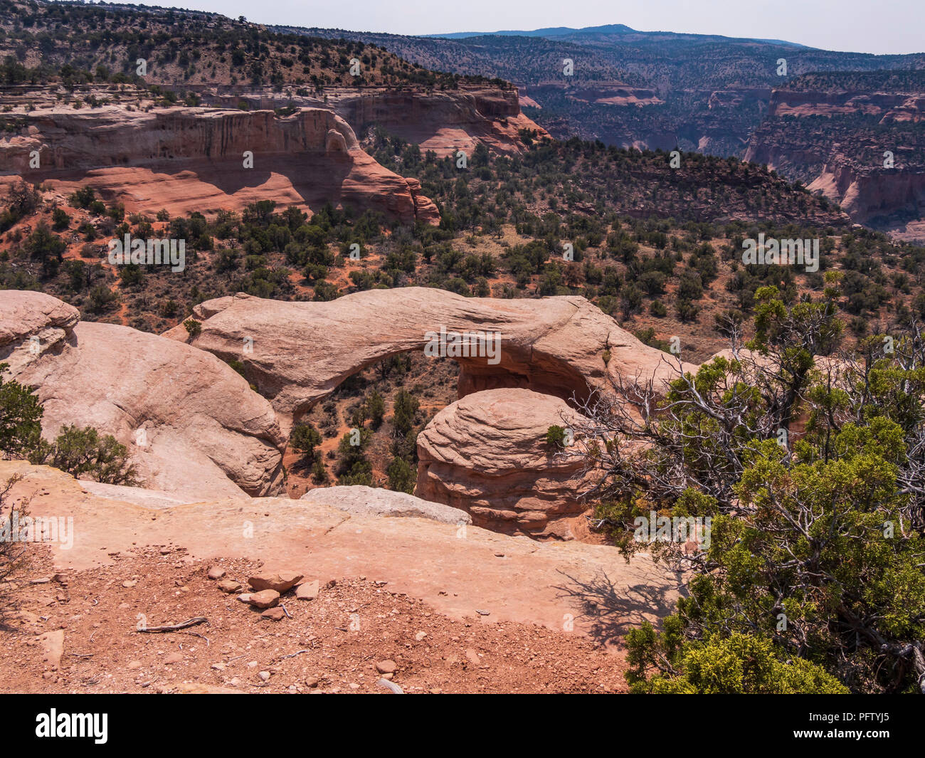 Rainbow Arch (aka Cedar Tree Arch), Rattlesnake Canyon, Black Ridge ...