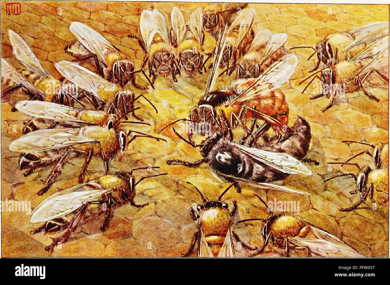 The rival queens hi-res stock photography and images - Alamy