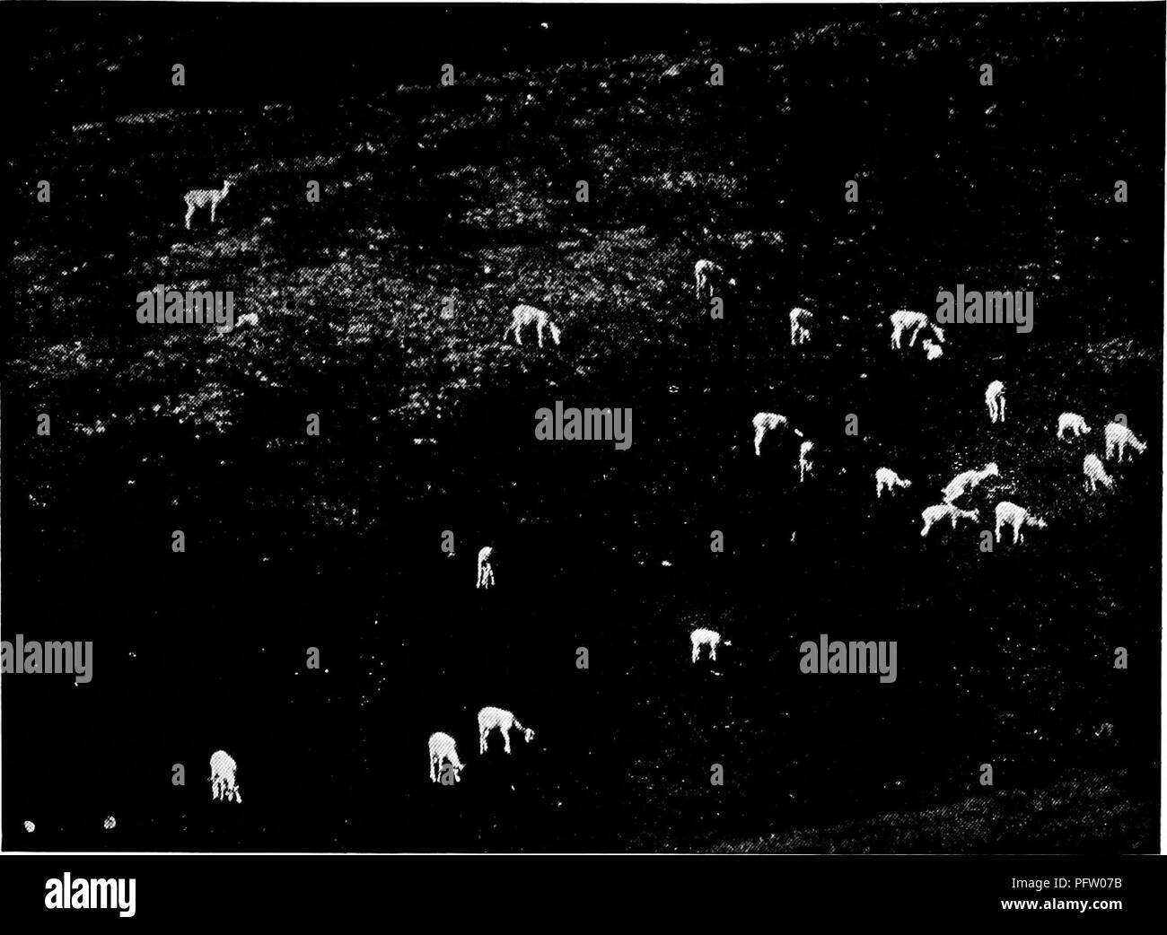 This article from *National Geographic* discusses the remarkable vision ...