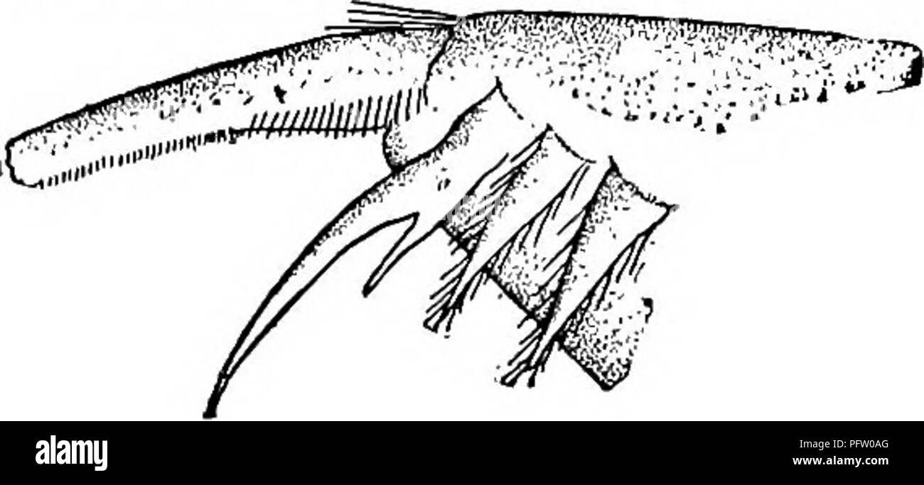 Nules Black and White Stock Photos & Images - Alamy