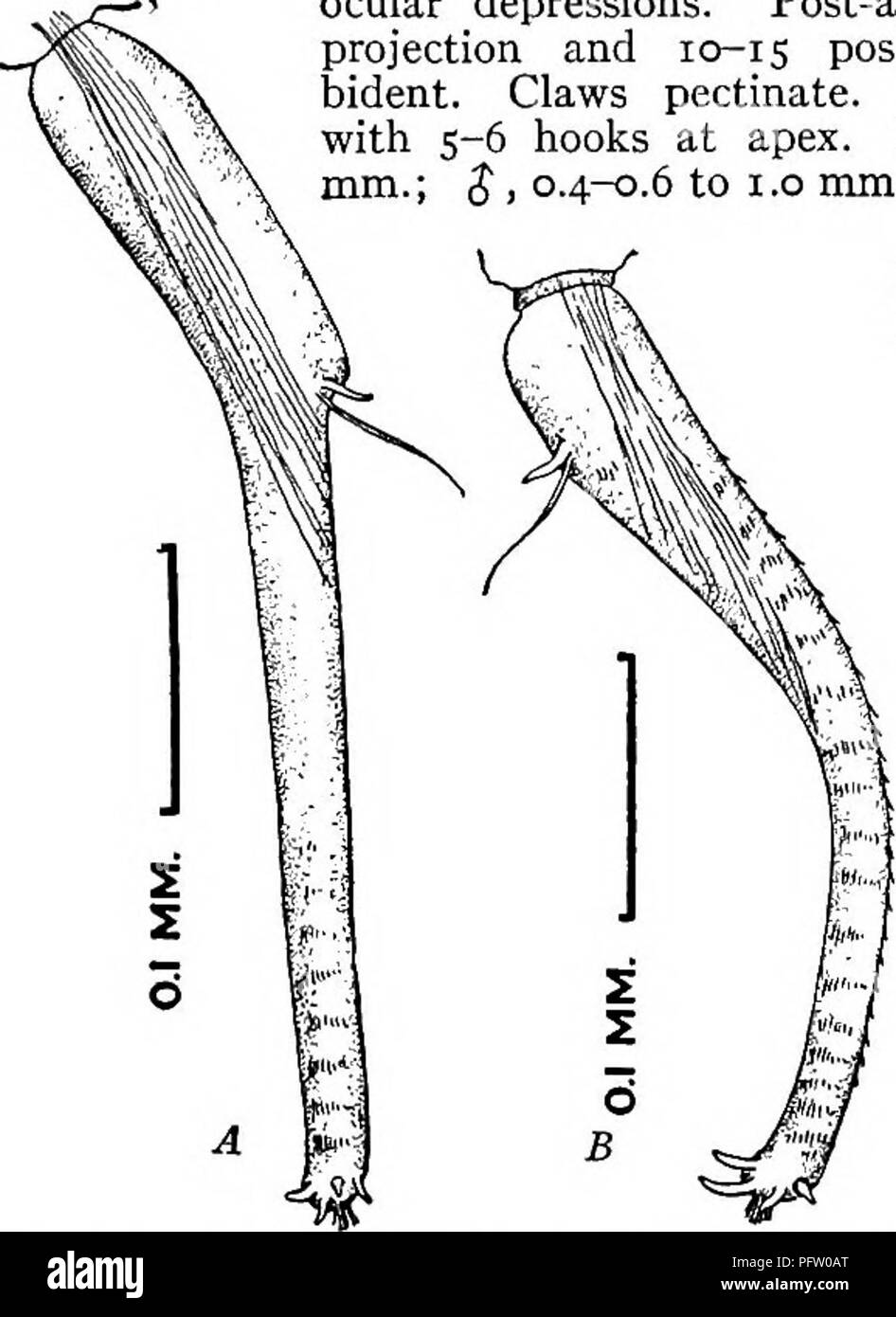 This section discusses the freshwater biology of water fleas (Cladocera ...
