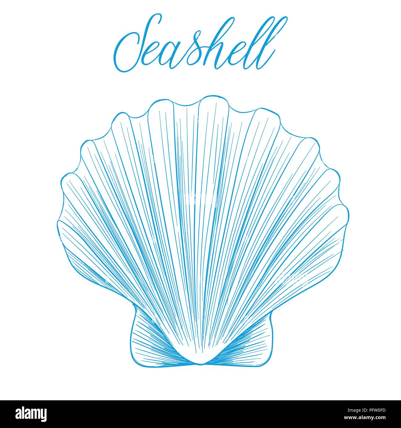 Clam bivalve sea shell Hand drawn blue linear vector illustration ...