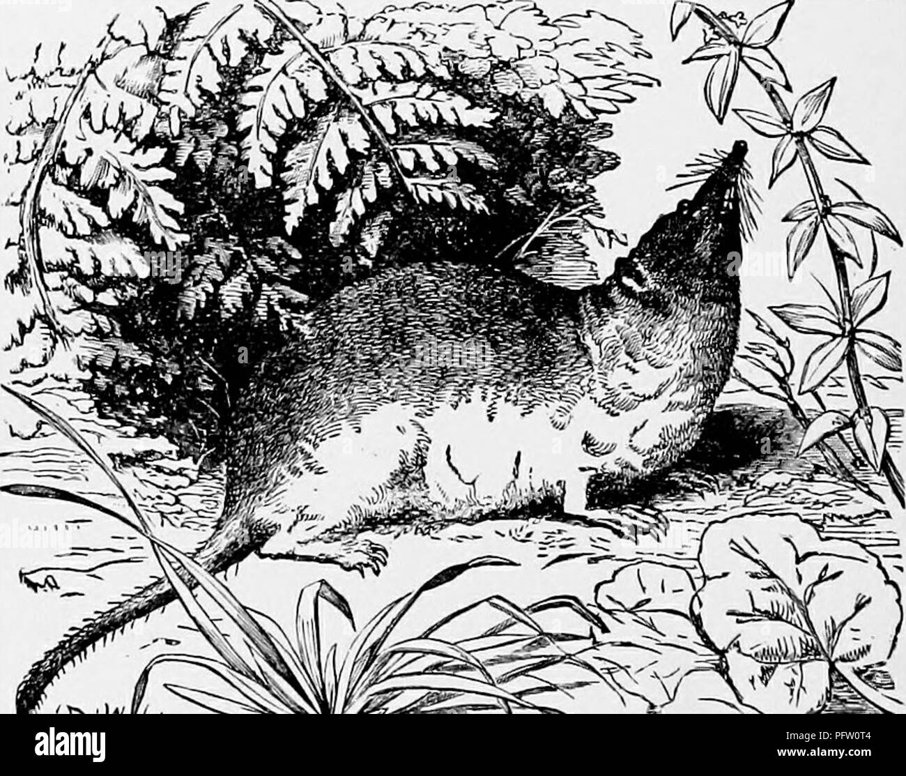 Bite the hand that feeds you hi-res stock photography and images - Alamy