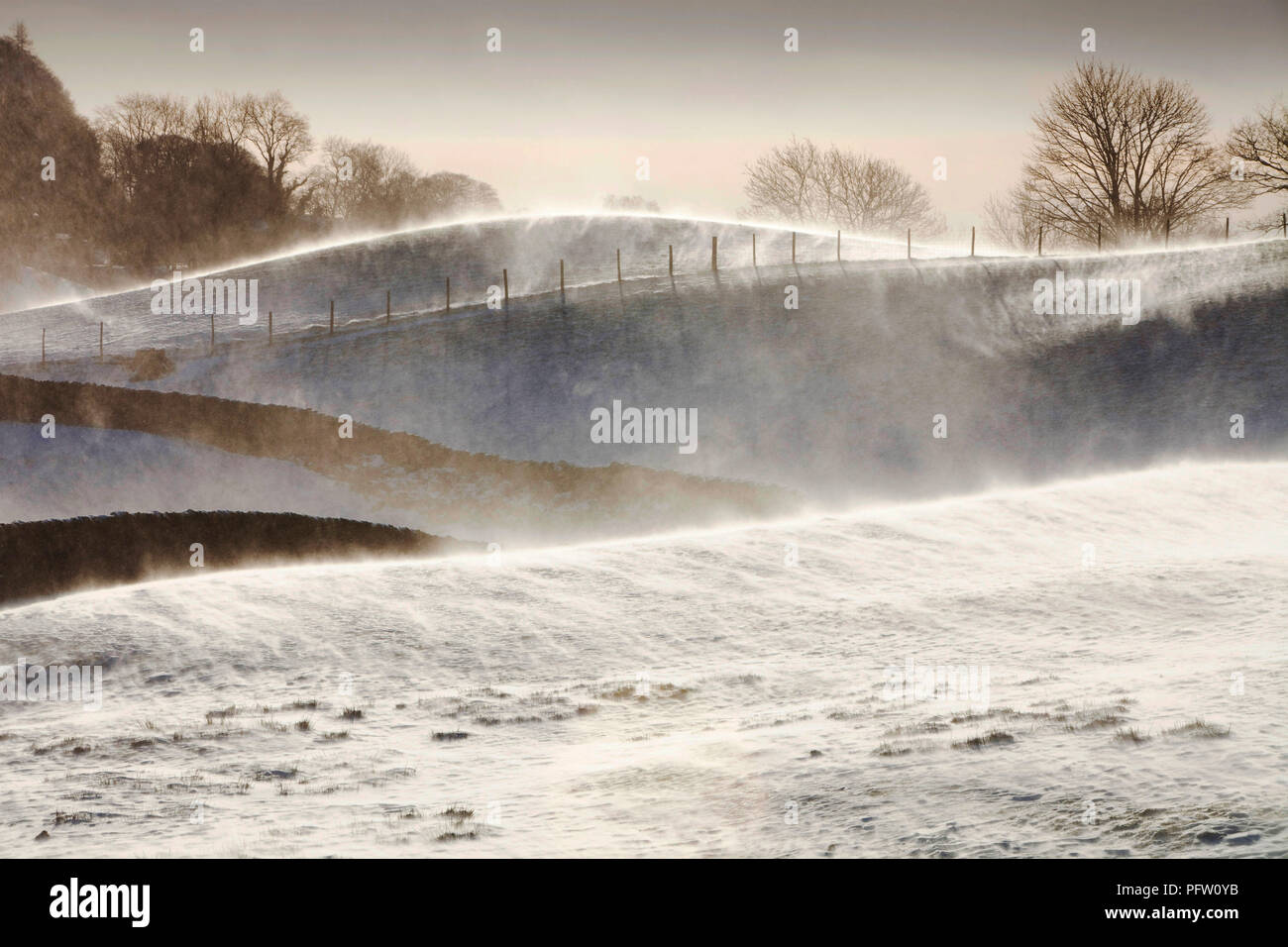 A field in Troutbeck in the Lake District, looking like something out ...