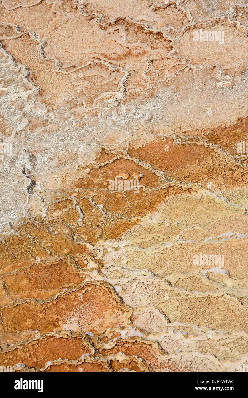 Detailed texture background from Mammoth Hot Springs at Yellowstone ...