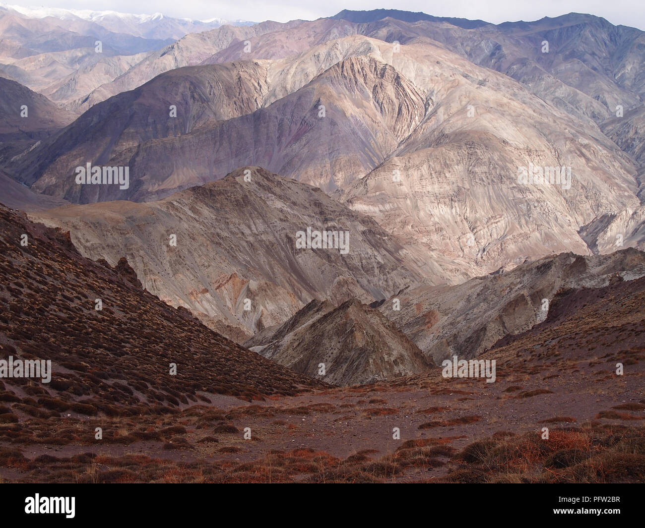 Hemis National Park, Markha valley trek, Ladakh Stock Photo - Alamy