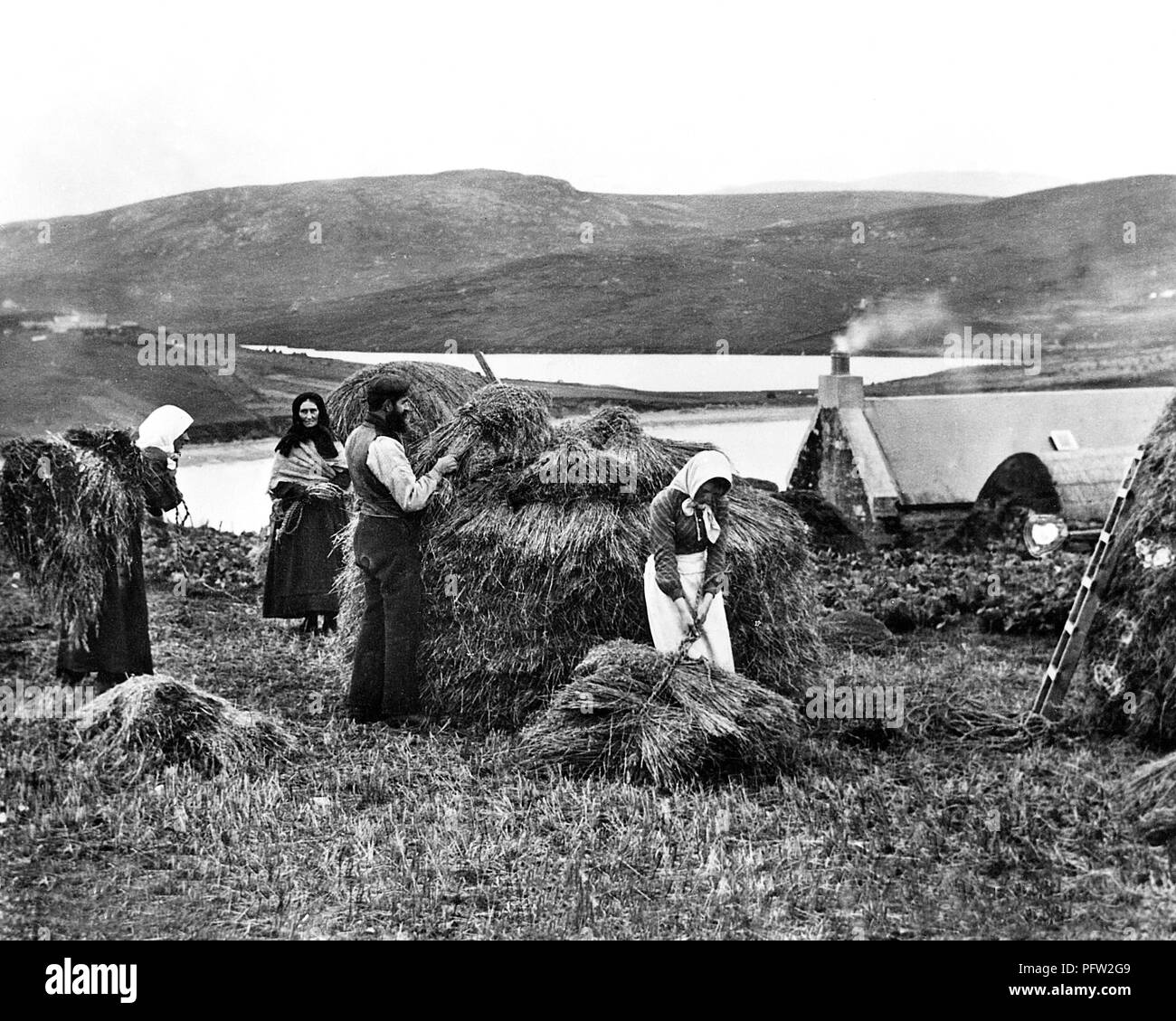 The Hay Yard, Lerwick, Shetland, Victorian period Stock Photo - Alamy