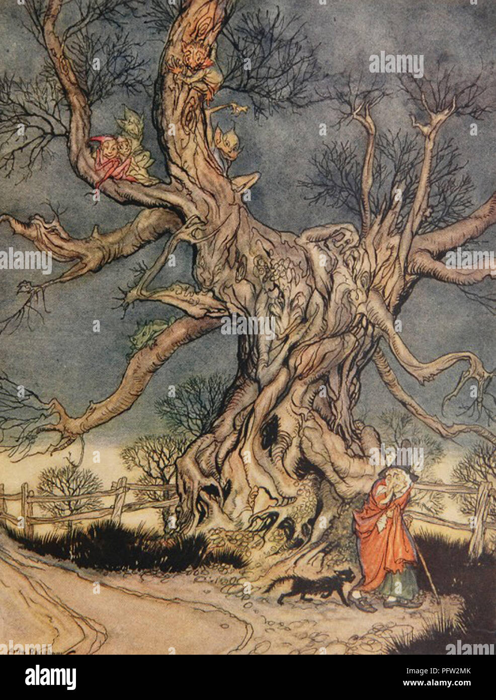 Vintage illustration by Arthur Rackham Stock Photo - Alamy