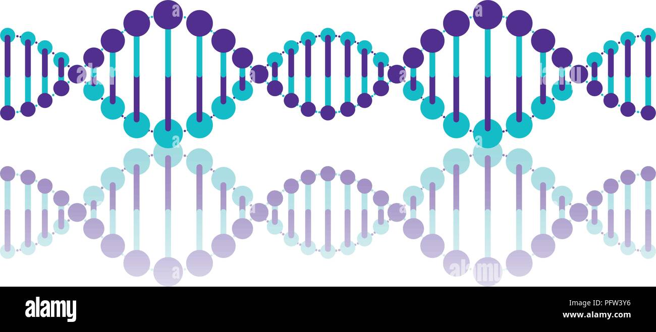 horizontal dna chain science colorful icon Stock Vector Image & Art - Alamy