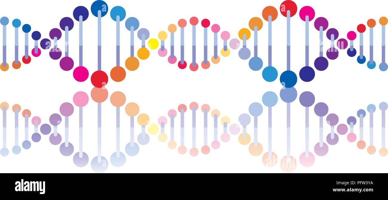 horizontal dna chain science colorful icon Stock Vector Image & Art - Alamy