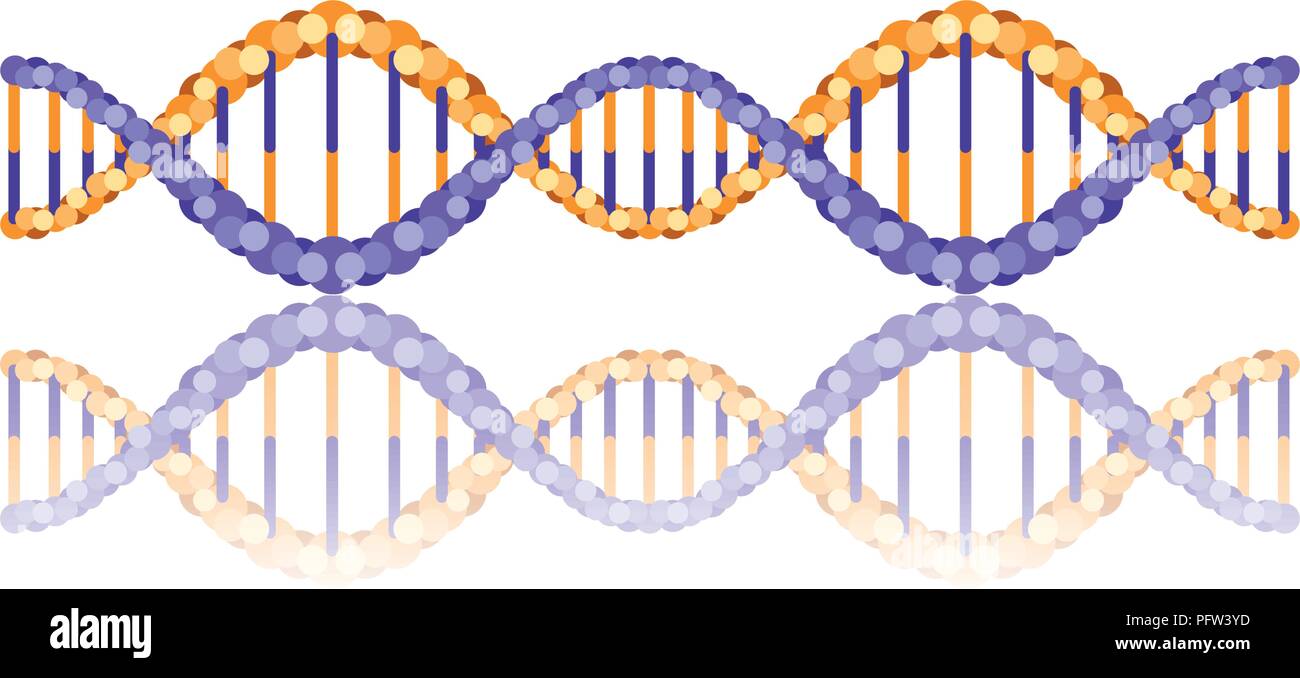 horizontal dna chain science colorful icon Stock Vector Image & Art - Alamy