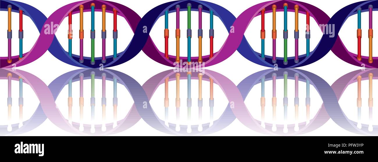 Horizontal evolution Stock Vector Images - Alamy