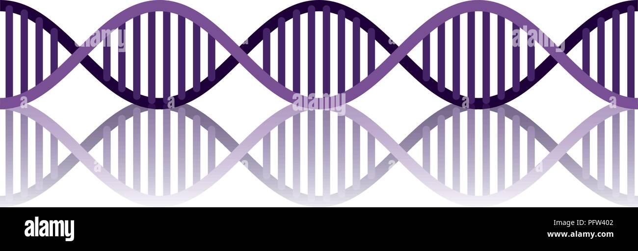 horizontal dna chain science colorful icon Stock Vector Image & Art - Alamy