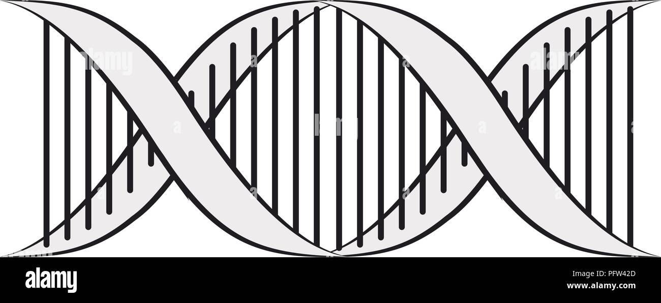 vertical dna chain science monochrome Stock Vector Image & Art - Alamy