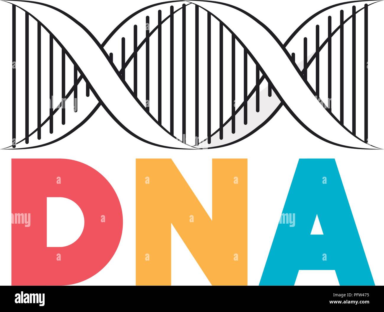dna chain science icon Stock Vector Image & Art - Alamy