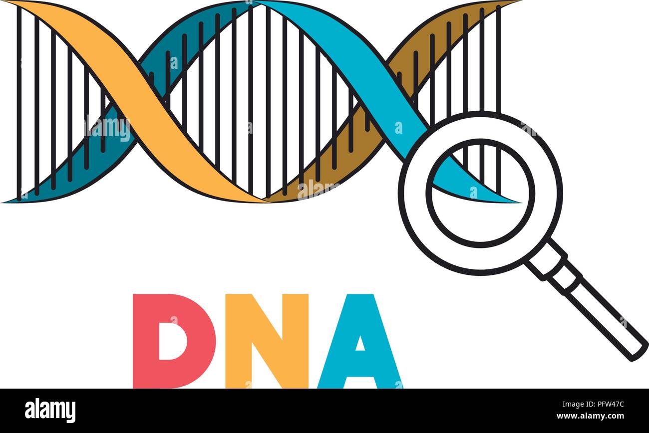 dna chain with magnifying glass Stock Vector Image & Art - Alamy