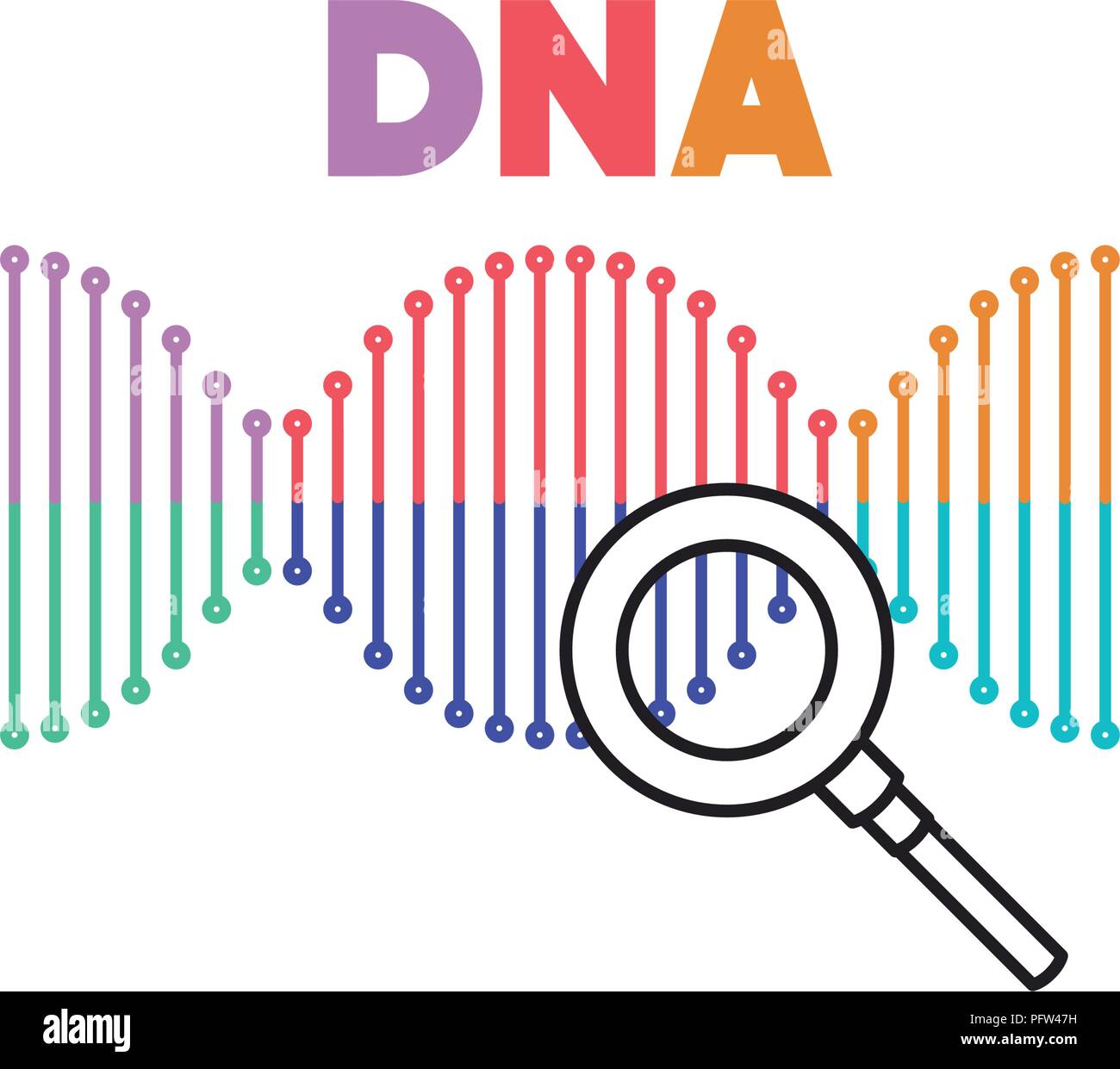 dna chain with magnifying glass Stock Vector Image & Art - Alamy