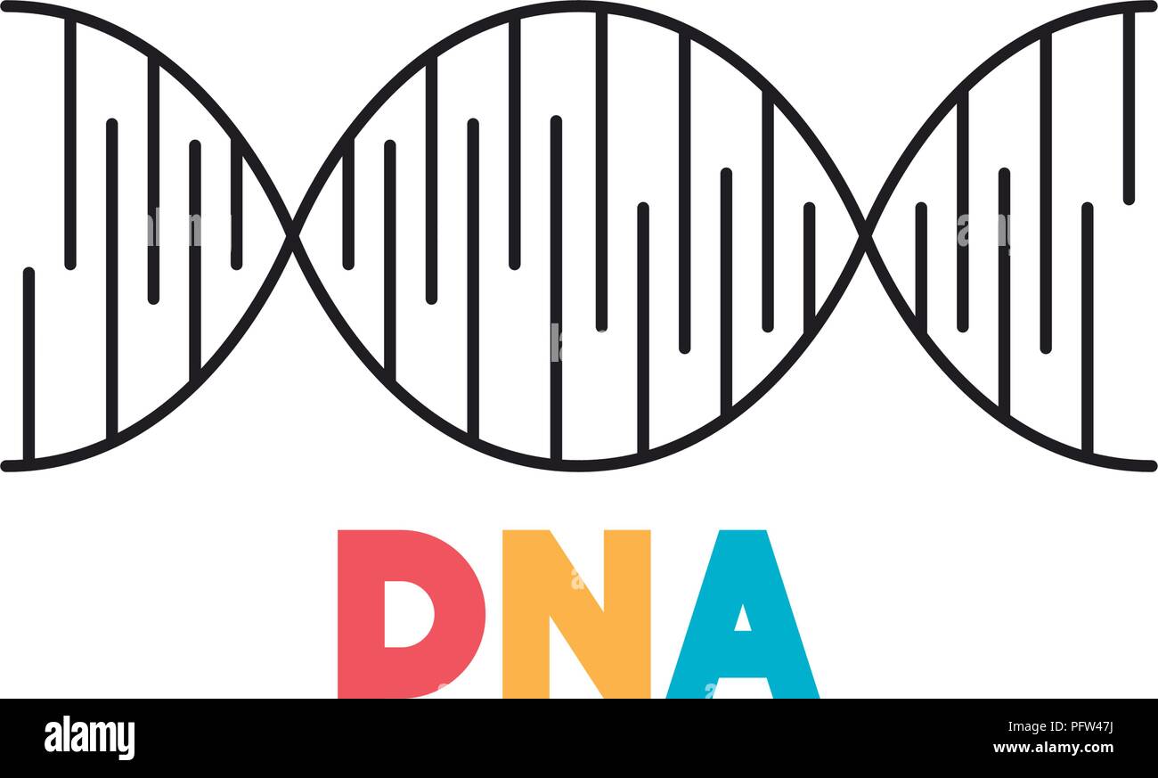 dna chain science icon Stock Vector Image & Art - Alamy
