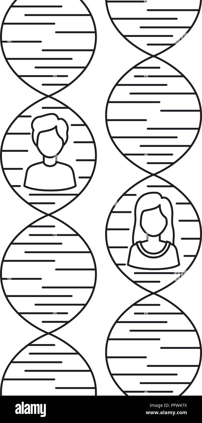 dna chain with genders characters Stock Vector Image & Art - Alamy