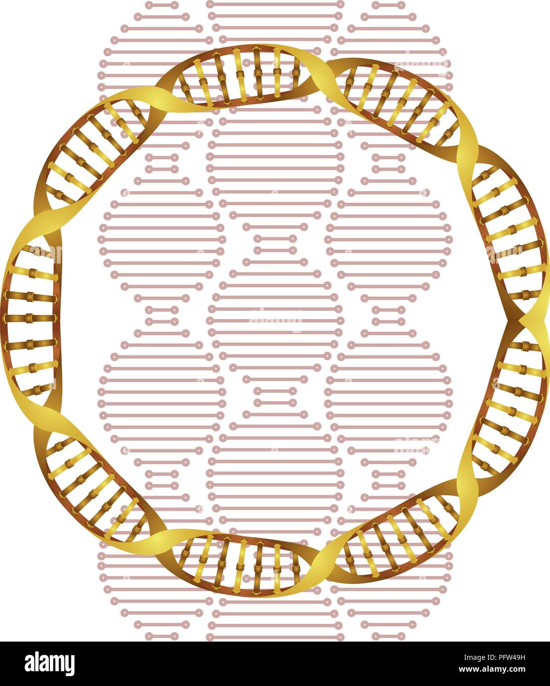 Circular Dna Molecule High Resolution Stock Photography and Images - Alamy