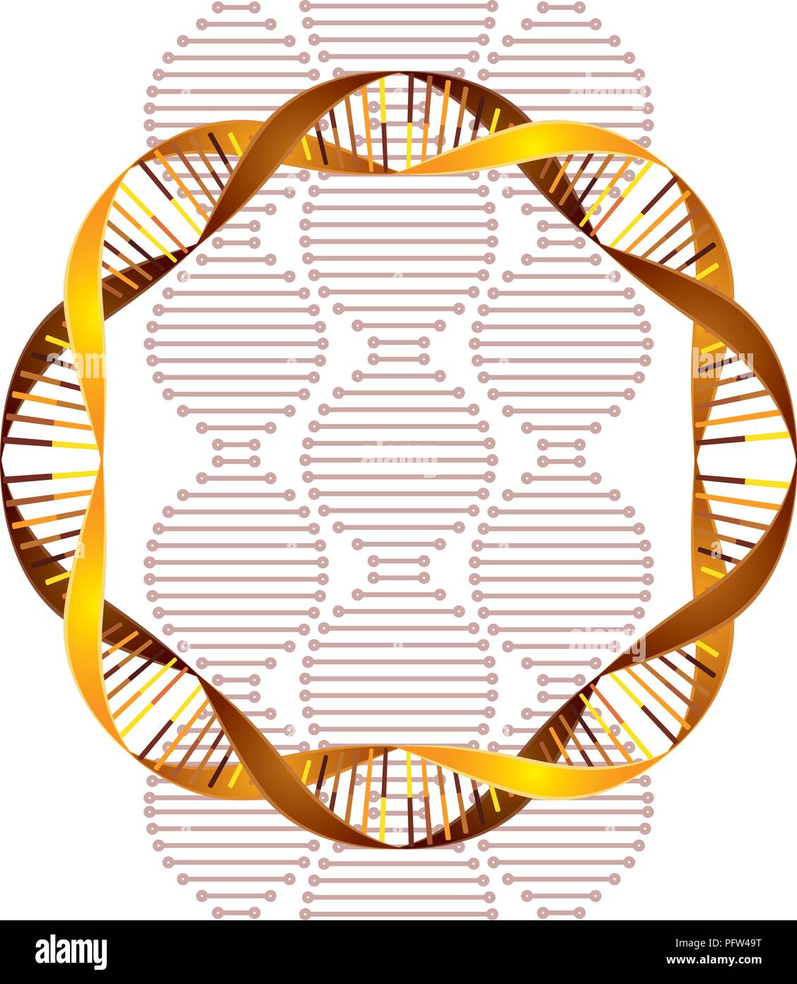 Circular Dna Molecule High Resolution Stock Photography and Images - Alamy