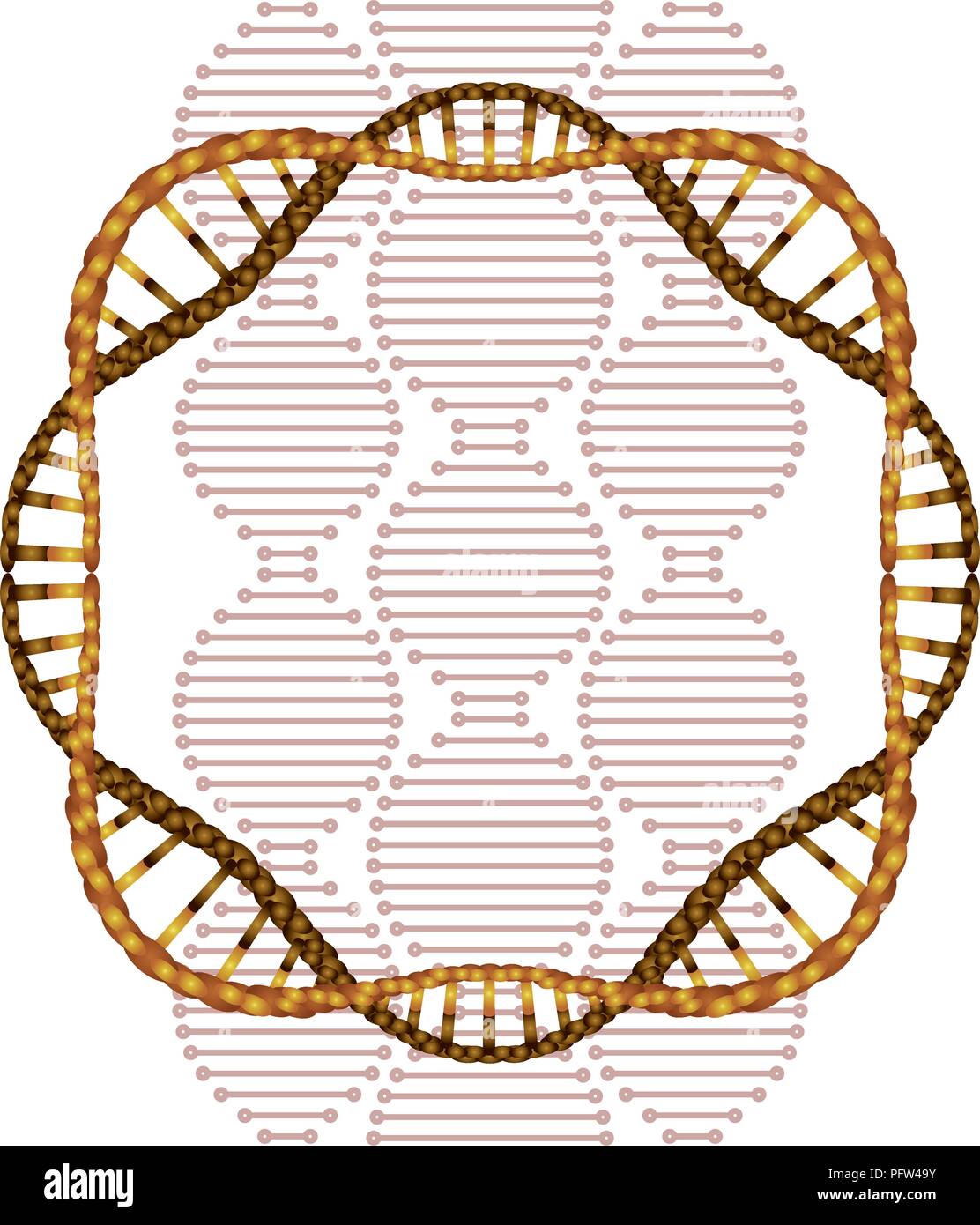 Circular Dna Molecule High Resolution Stock Photography and Images - Alamy