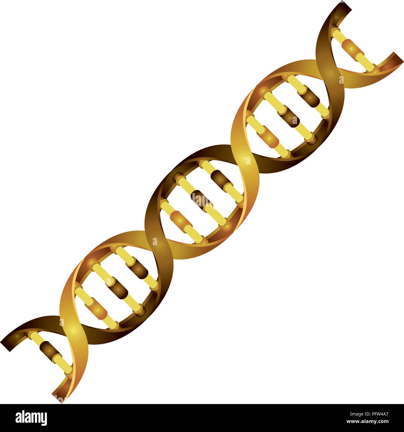 diagonal dna chain science golden color Stock Vector Image & Art - Alamy