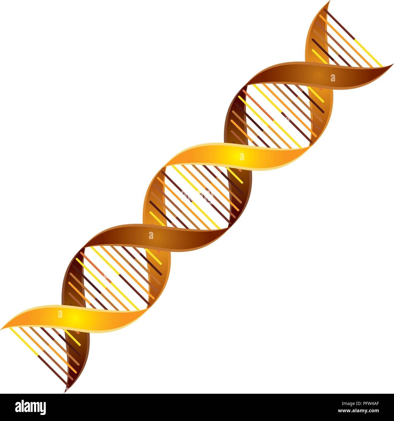 diagonal dna chain science golden color Stock Vector Image & Art - Alamy