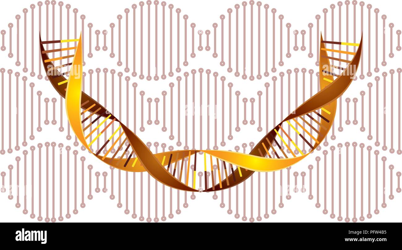 dna chain with curve science icon Stock Vector Image & Art - Alamy
