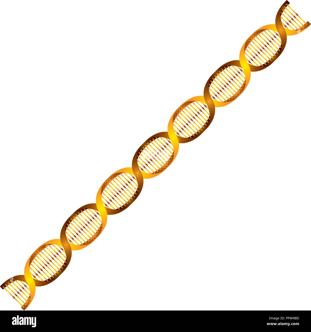diagonal dna chain science golden color Stock Vector Image & Art - Alamy