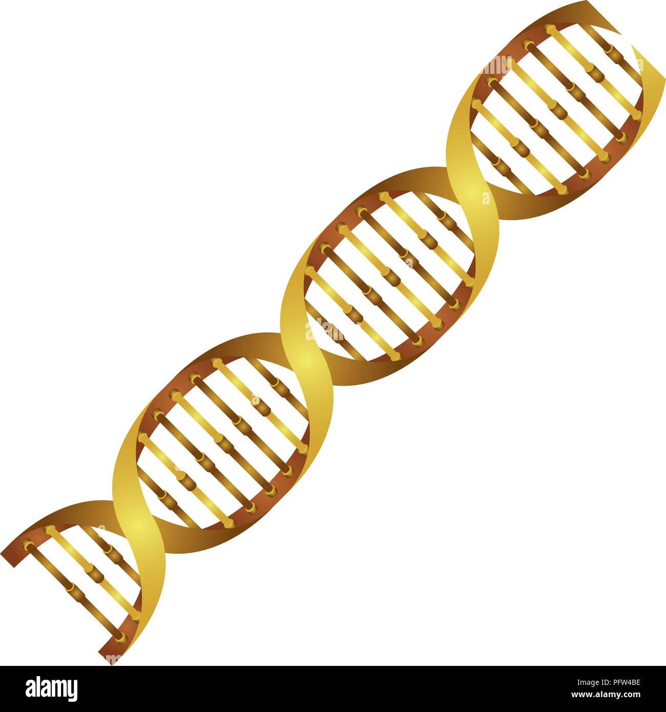 Gold human model Stock Vector Images - Alamy