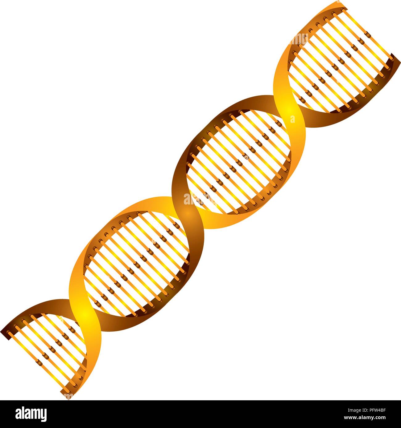 Gold human model Stock Vector Images - Alamy