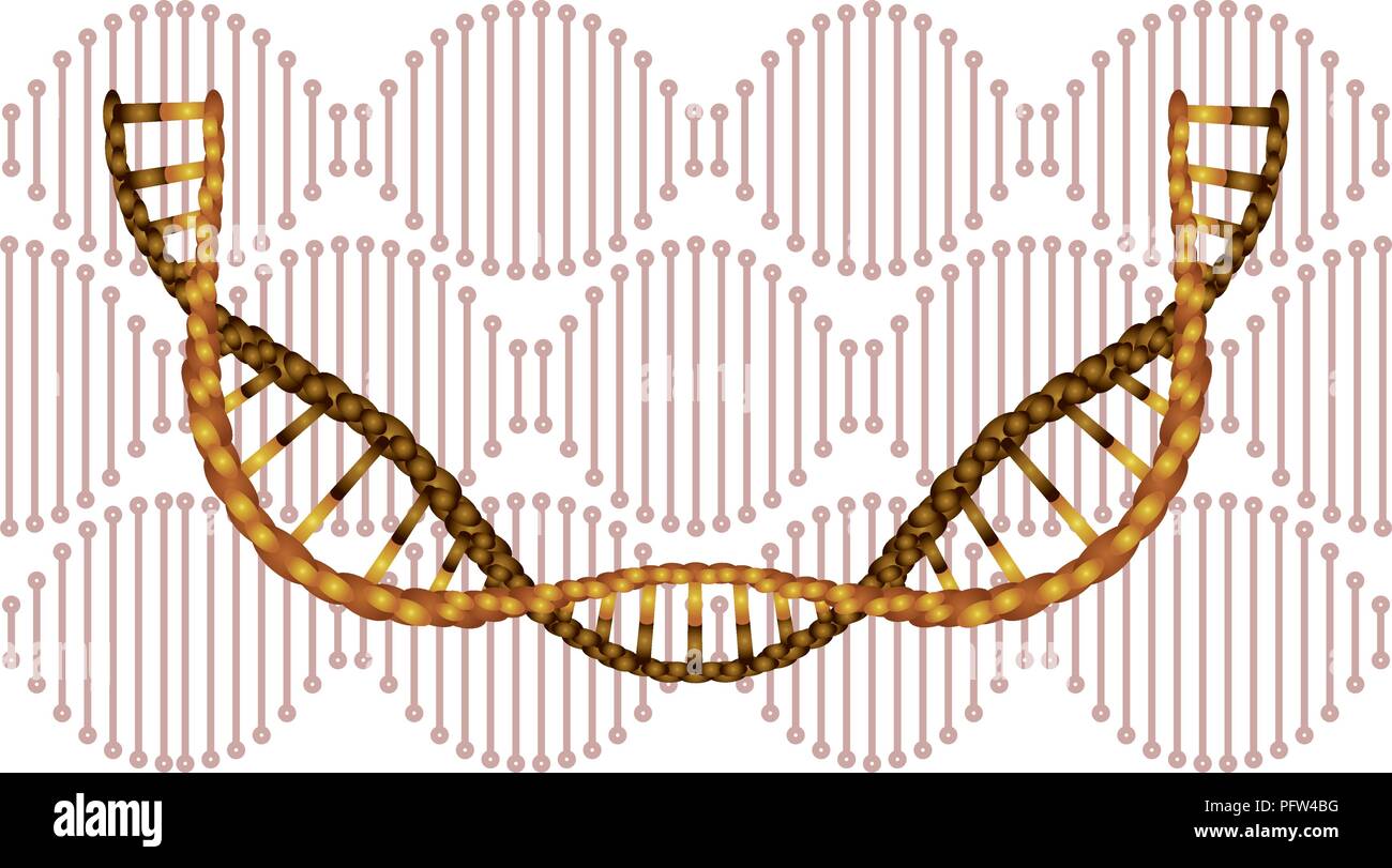 dna chain with curve science icon Stock Vector Image & Art - Alamy