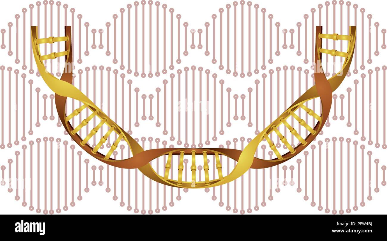 dna chain with curve science icon Stock Vector Image & Art - Alamy