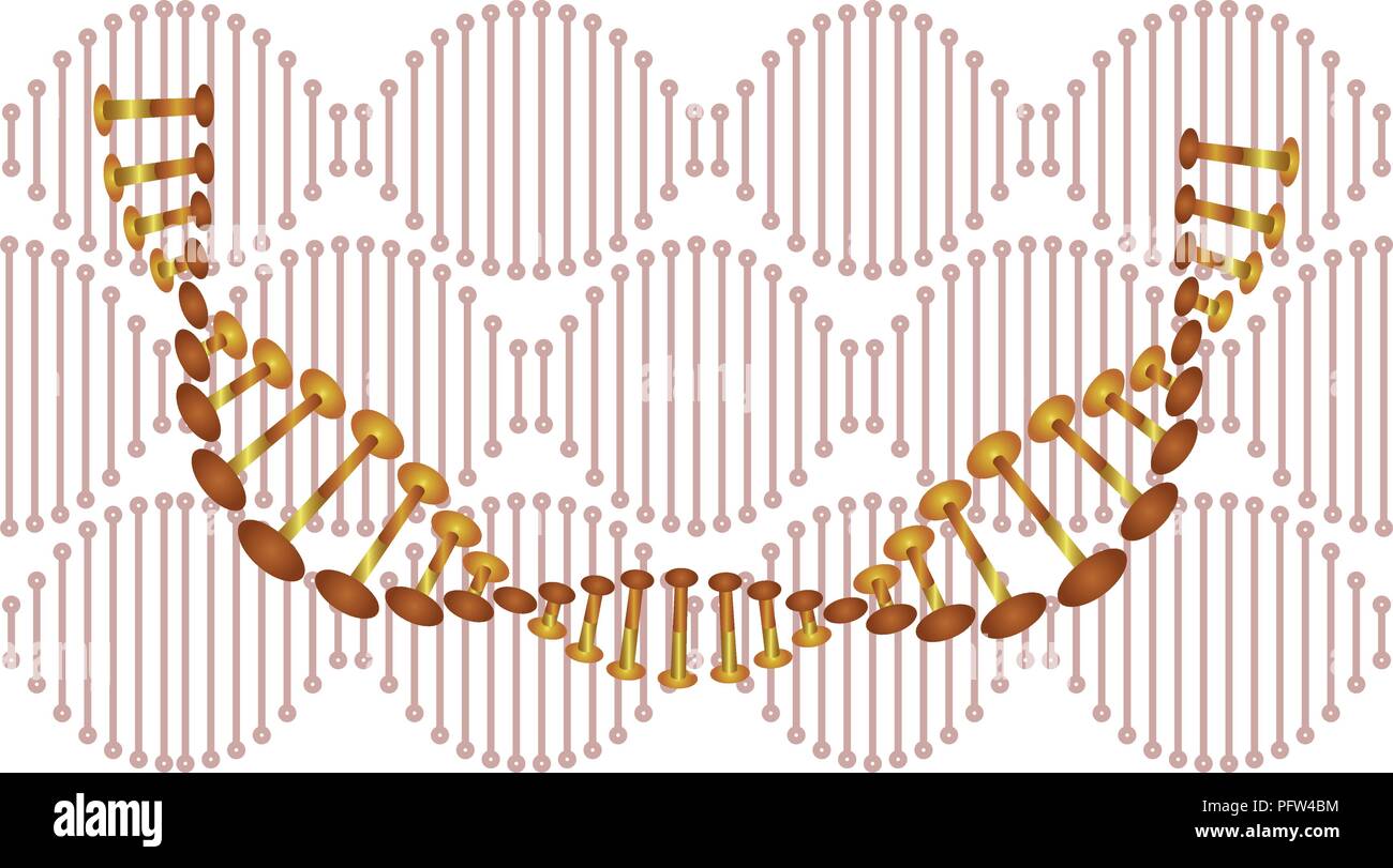 dna chain with curve science icon Stock Vector Image & Art - Alamy