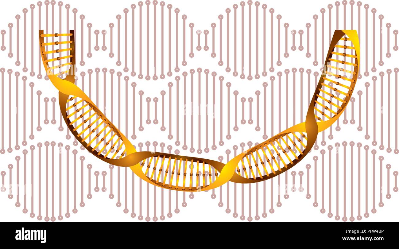 dna chain with curve science icon Stock Vector Image & Art - Alamy