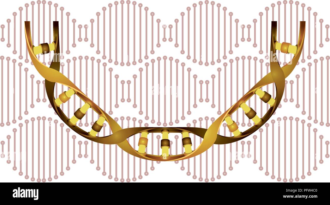 dna chain with curve science icon Stock Vector Image & Art - Alamy