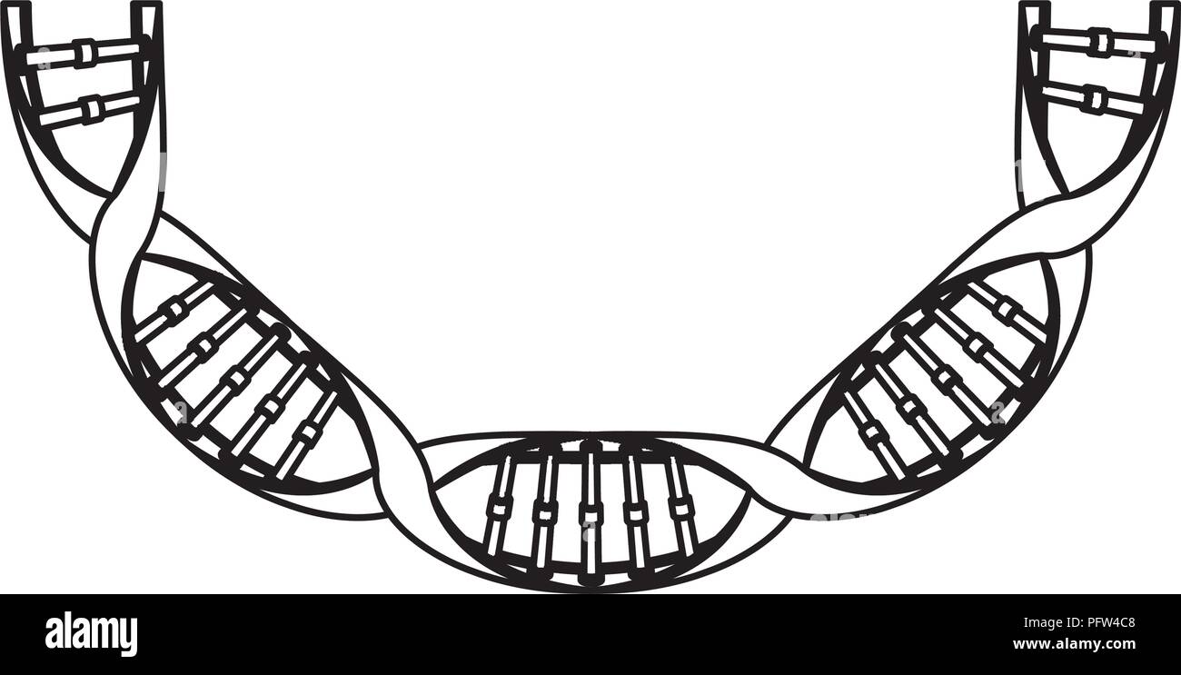dna chain with curve science icon Stock Vector Image & Art - Alamy