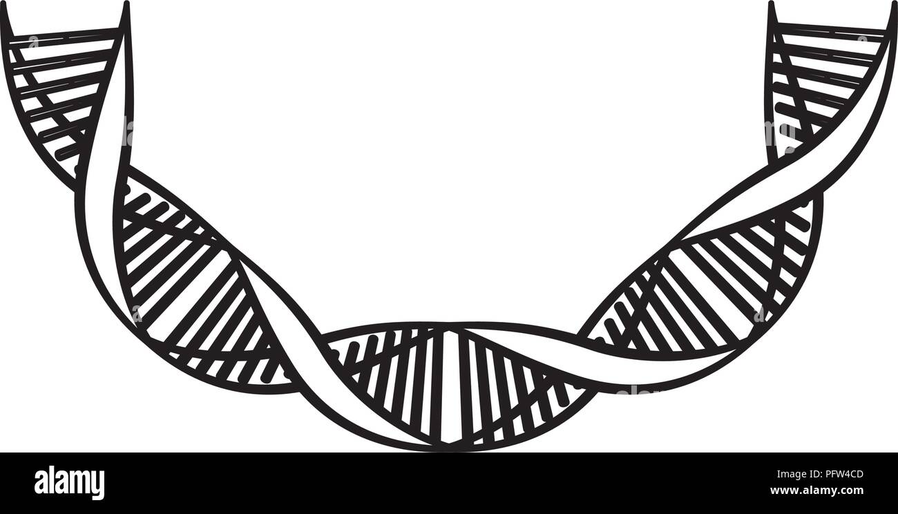 dna chain with curve science icon Stock Vector Image & Art - Alamy