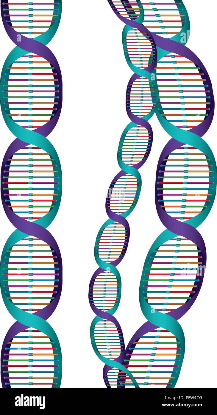 horizontal dna chains science colorful Stock Vector Image & Art - Alamy
