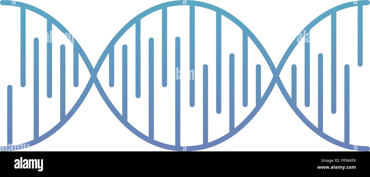 horizontal dna chain science color blue Stock Vector Image & Art - Alamy