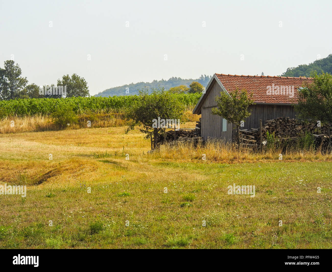 Rural scene landscape nature hi-res stock photography and images - Alamy