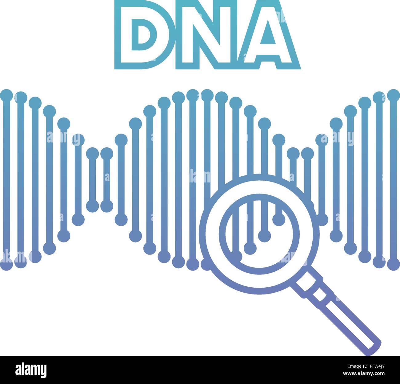 dna chain with magnifying glass Stock Vector Image & Art - Alamy