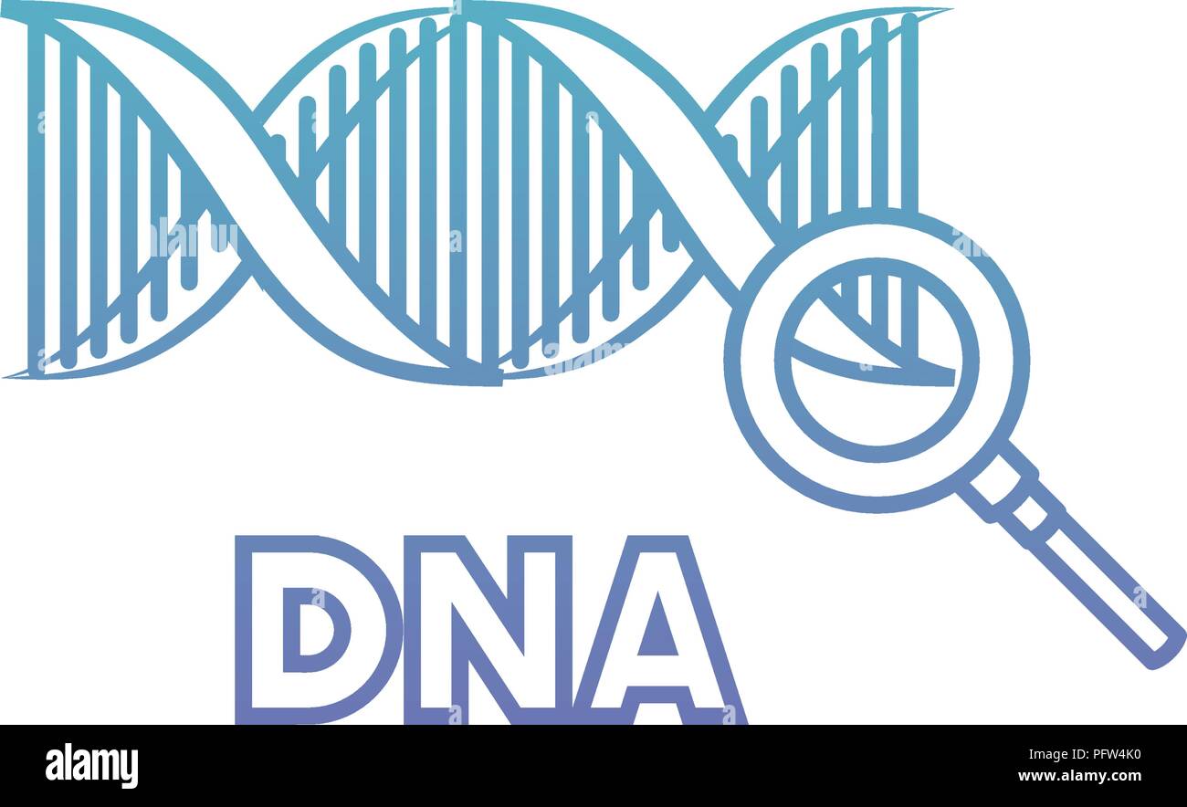 dna chain with magnifying glass Stock Vector Image & Art - Alamy
