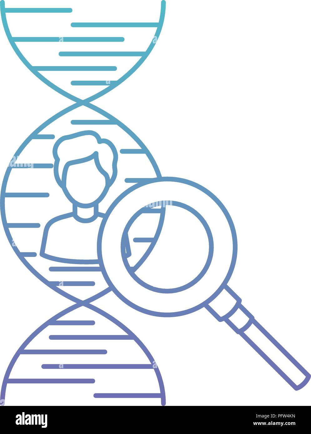 dna chain with male gender and magnifying glass Stock Vector Image ...