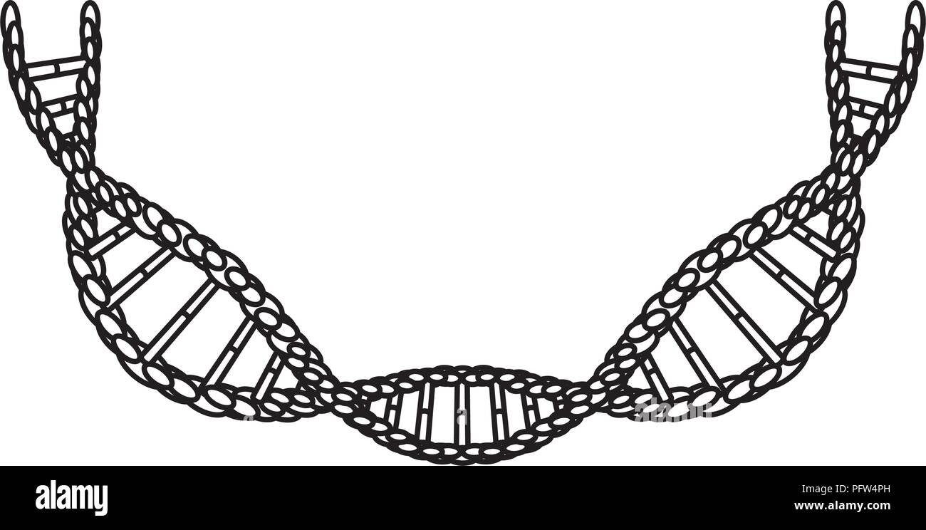 dna chain with curve science icon Stock Vector Image & Art - Alamy