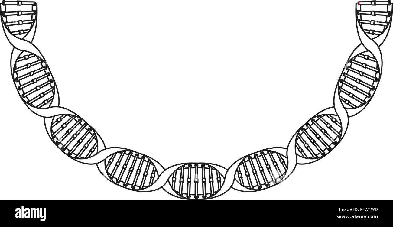 dna chain with curve science icon Stock Vector Image & Art - Alamy