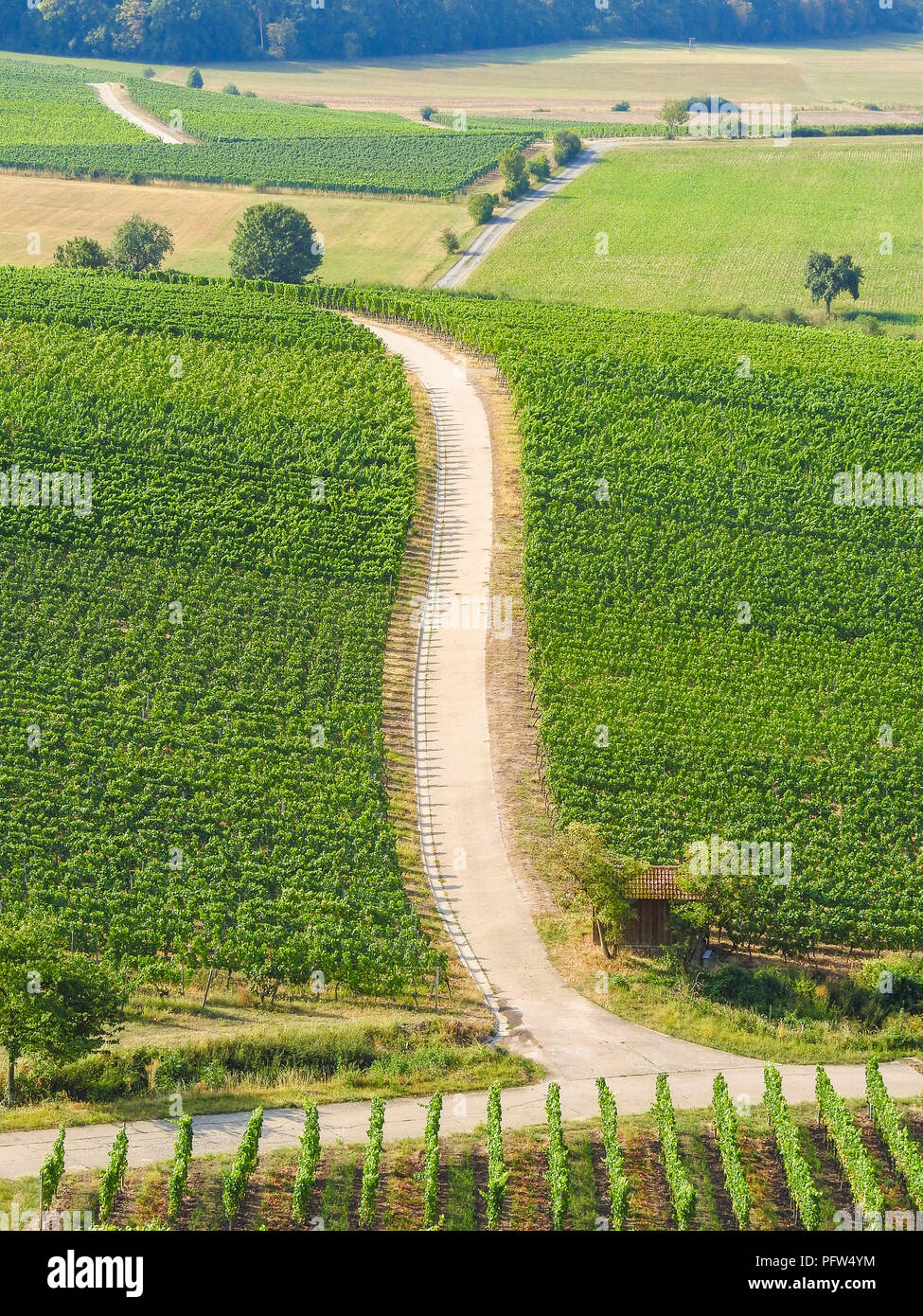 Rural landscape view into the German vineyards Stock Photo - Alamy