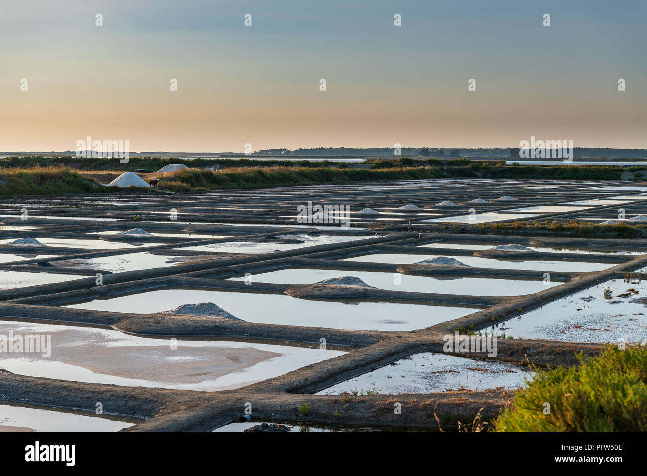 salt marsh at sunset Stock Photo - Alamy