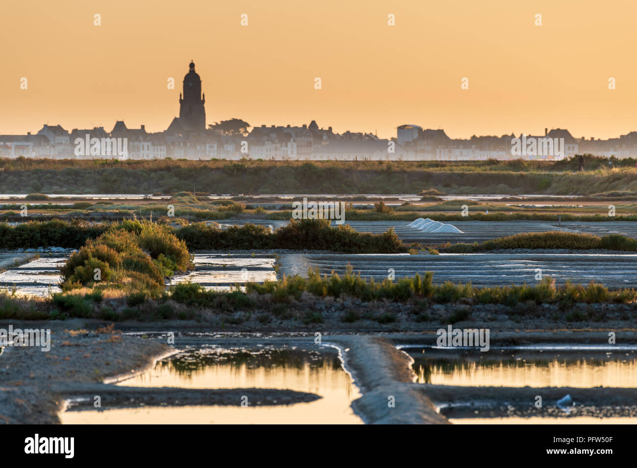 Sea marsh hi-res stock photography and images - Alamy